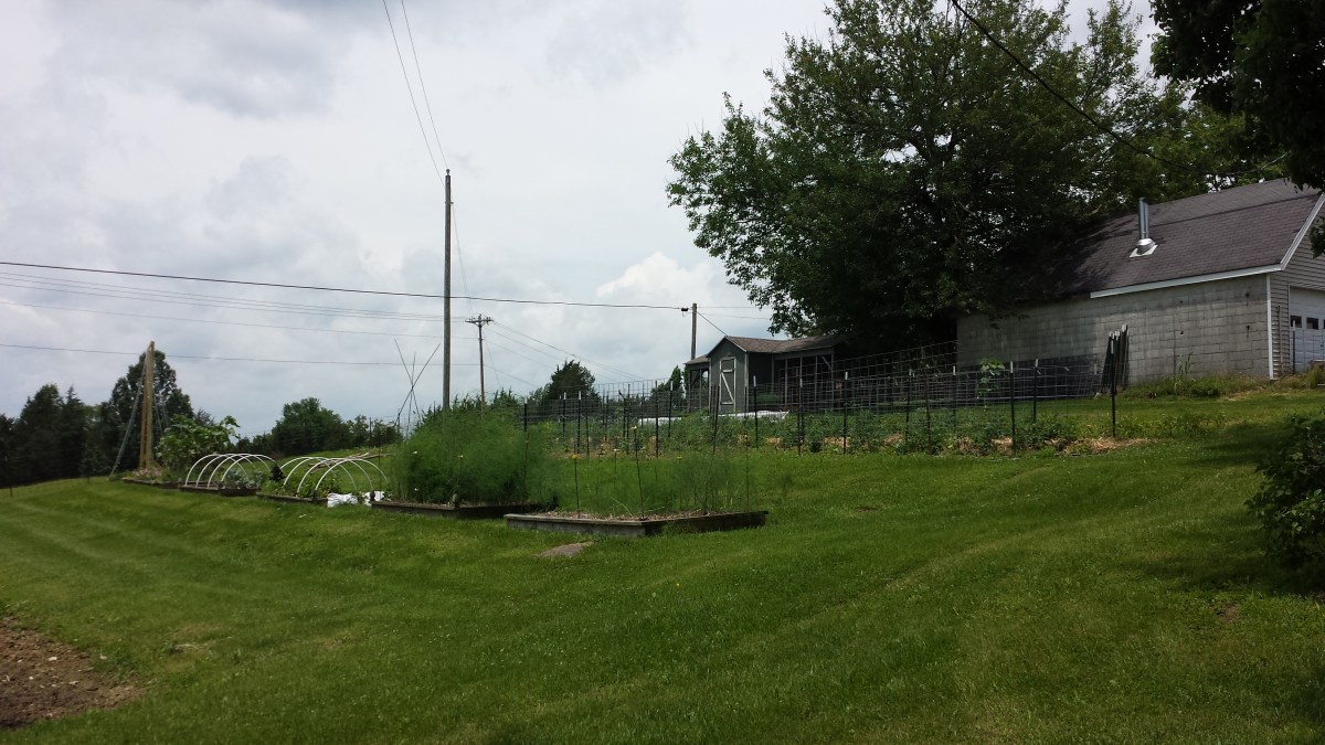 Morgan Farms – Morgan Farms